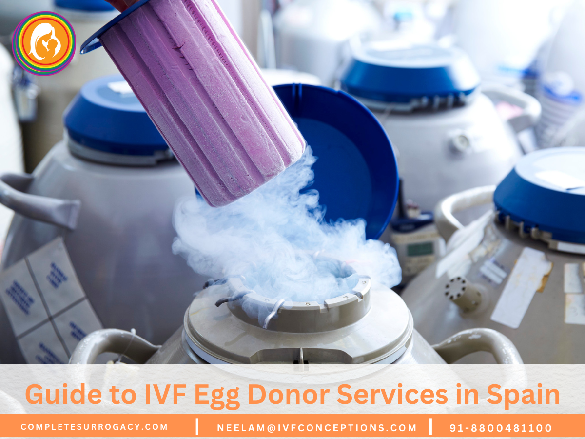 Guide to IVF Egg Donor Services in Spain | Complete Surrogacy