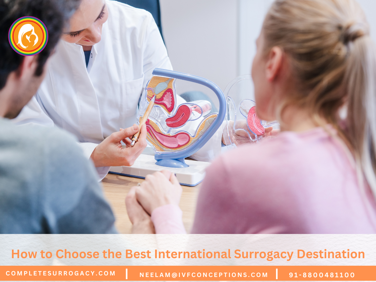 How to Choose the Best International Surrogacy Destination